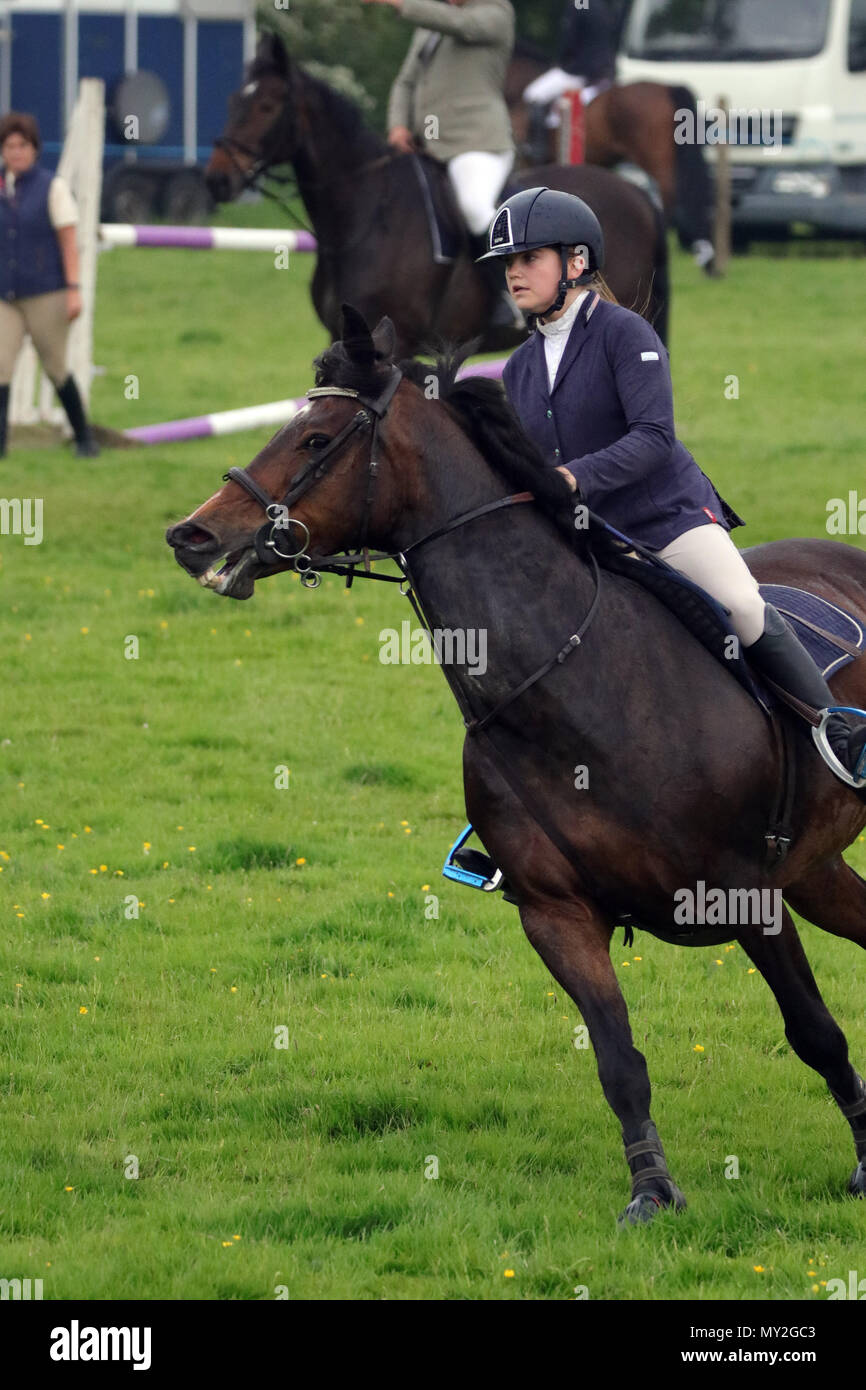 Pontargothi hi-res stock photography and images - Alamy