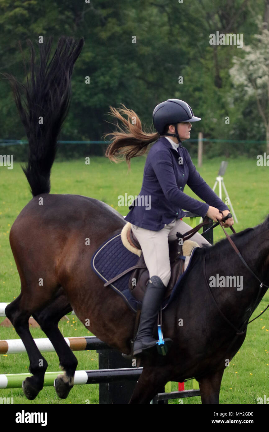 Pontargothi hi-res stock photography and images - Alamy