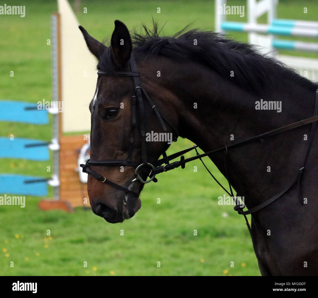 Pontargothi hi-res stock photography and images - Alamy