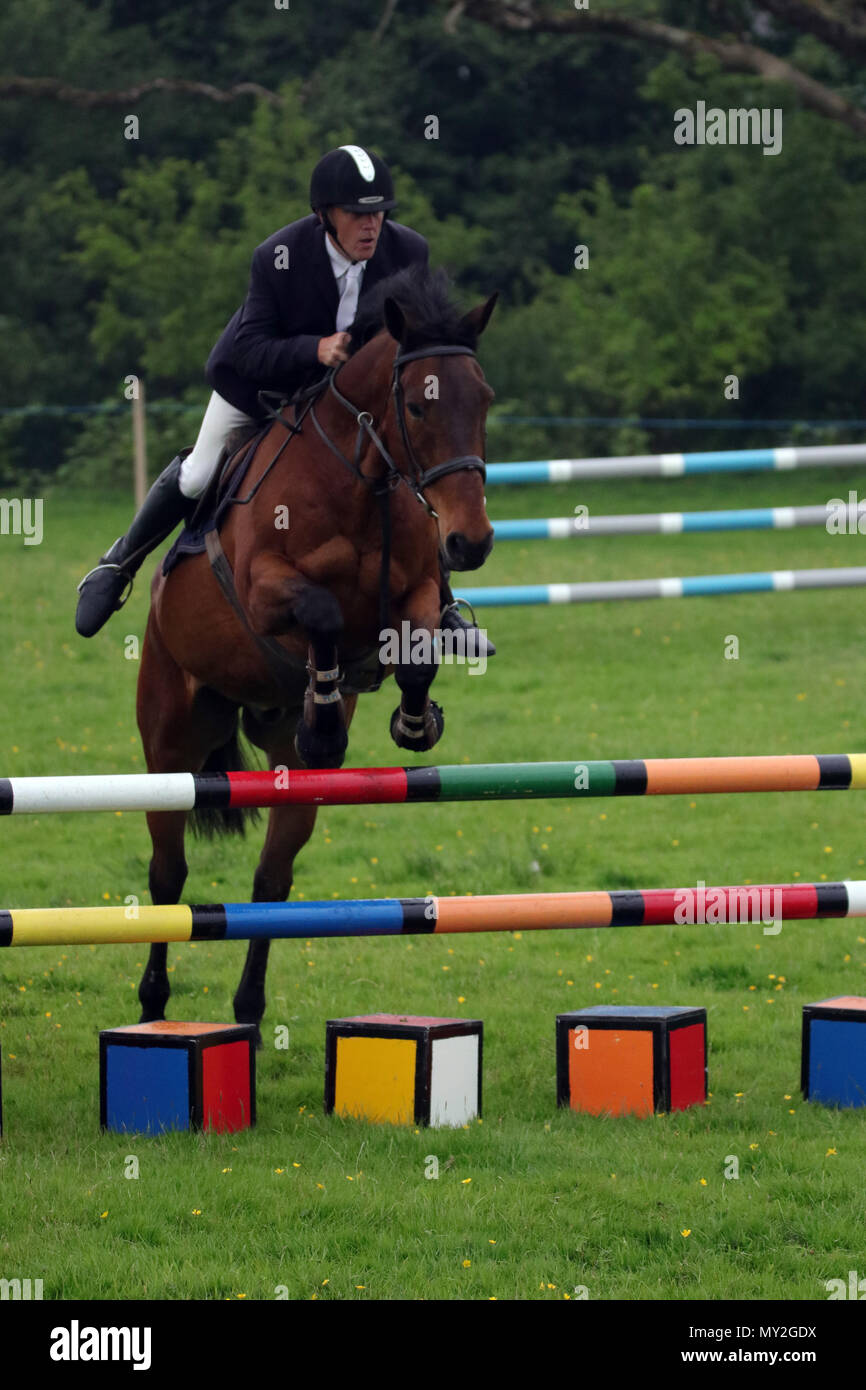 Pontargothi Show 2018 Stock Photo - Alamy