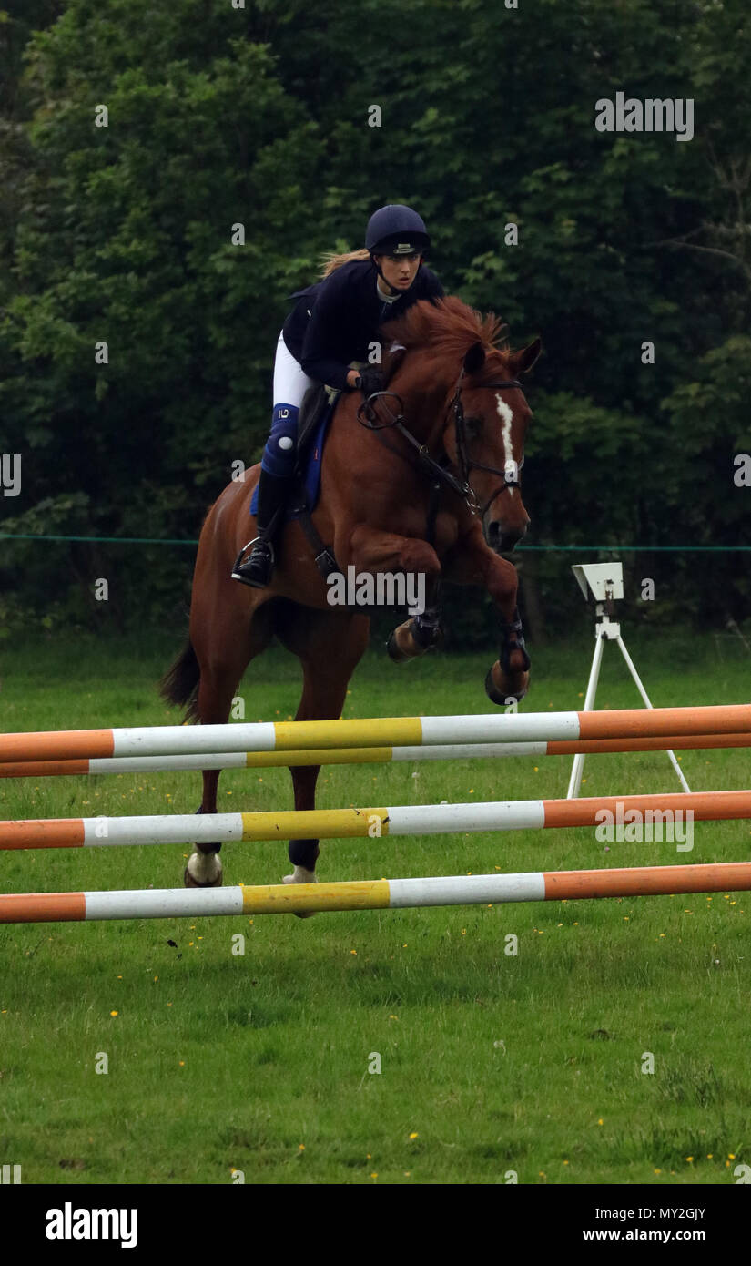 Pontargothi Show 2018 Stock Photo - Alamy