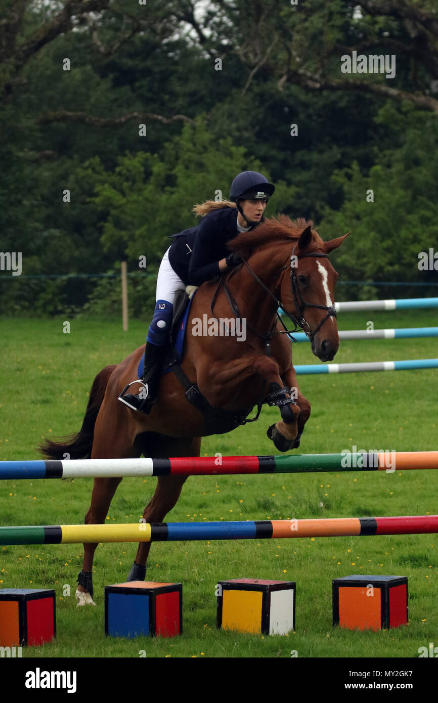 Pontargothi hi-res stock photography and images - Alamy