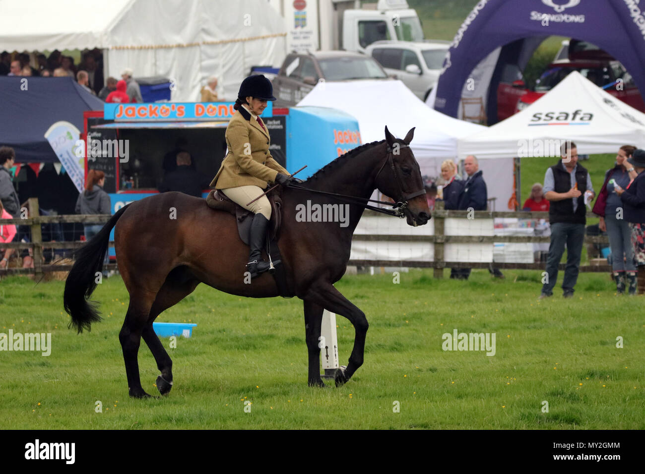 Pontargothi hi-res stock photography and images - Alamy