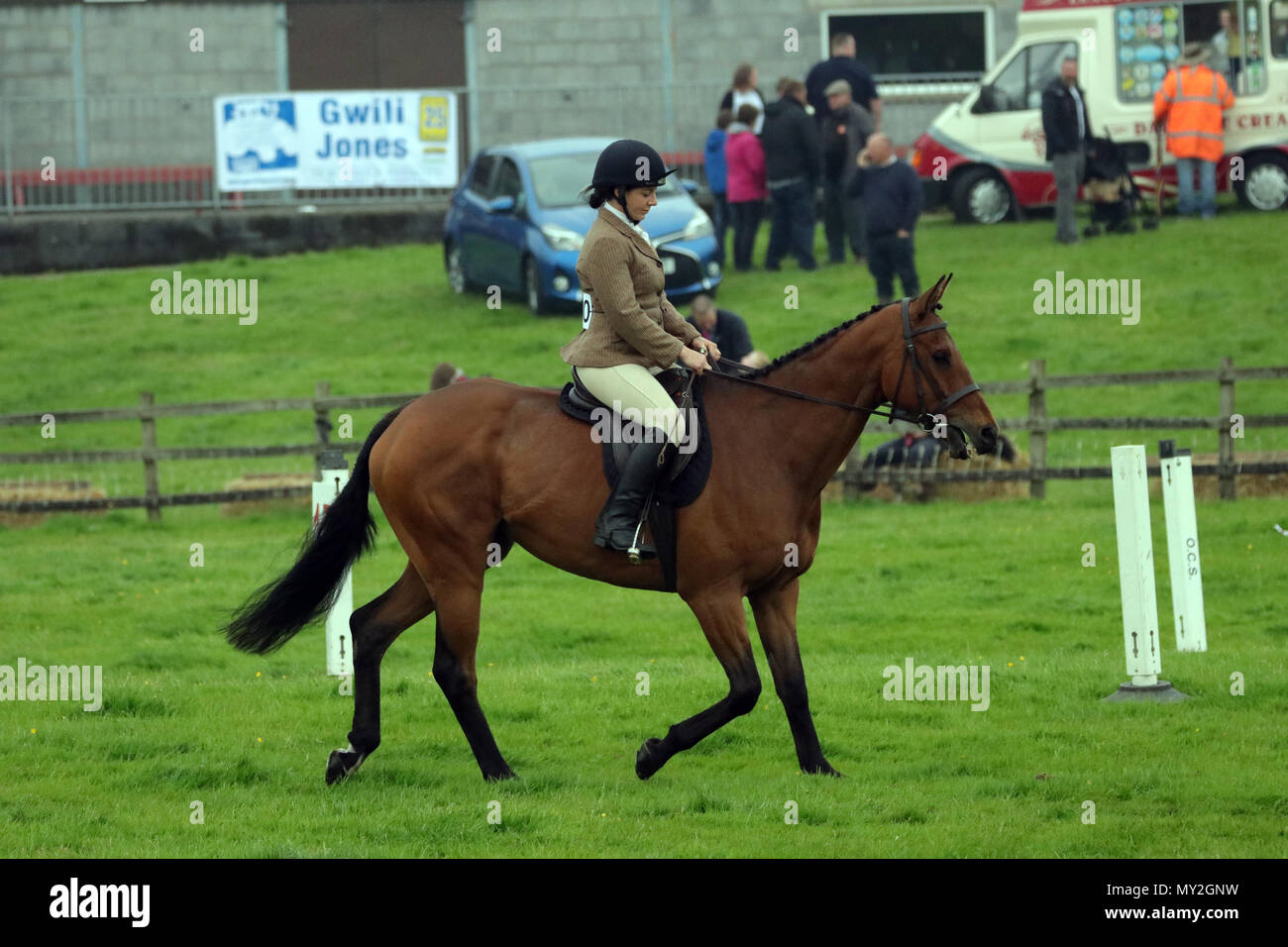 Pontargothi hi-res stock photography and images - Alamy