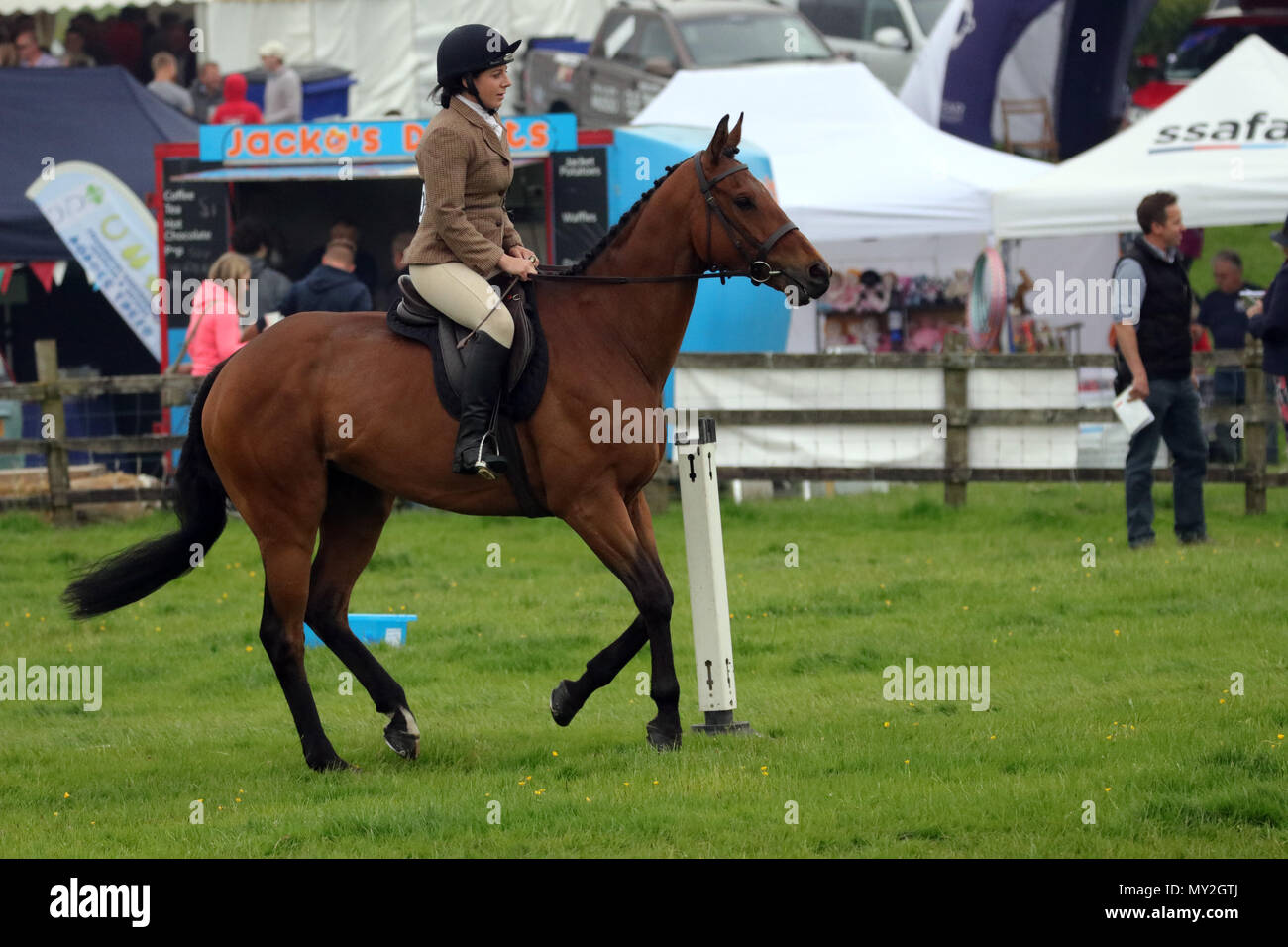 Pontargothi hi-res stock photography and images - Alamy