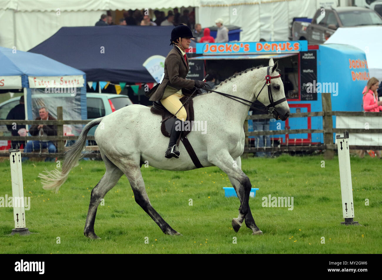 Pontargothi hi-res stock photography and images - Alamy