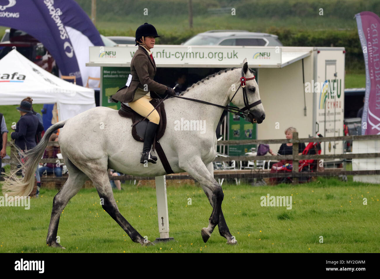 Pontargothi hi-res stock photography and images - Alamy