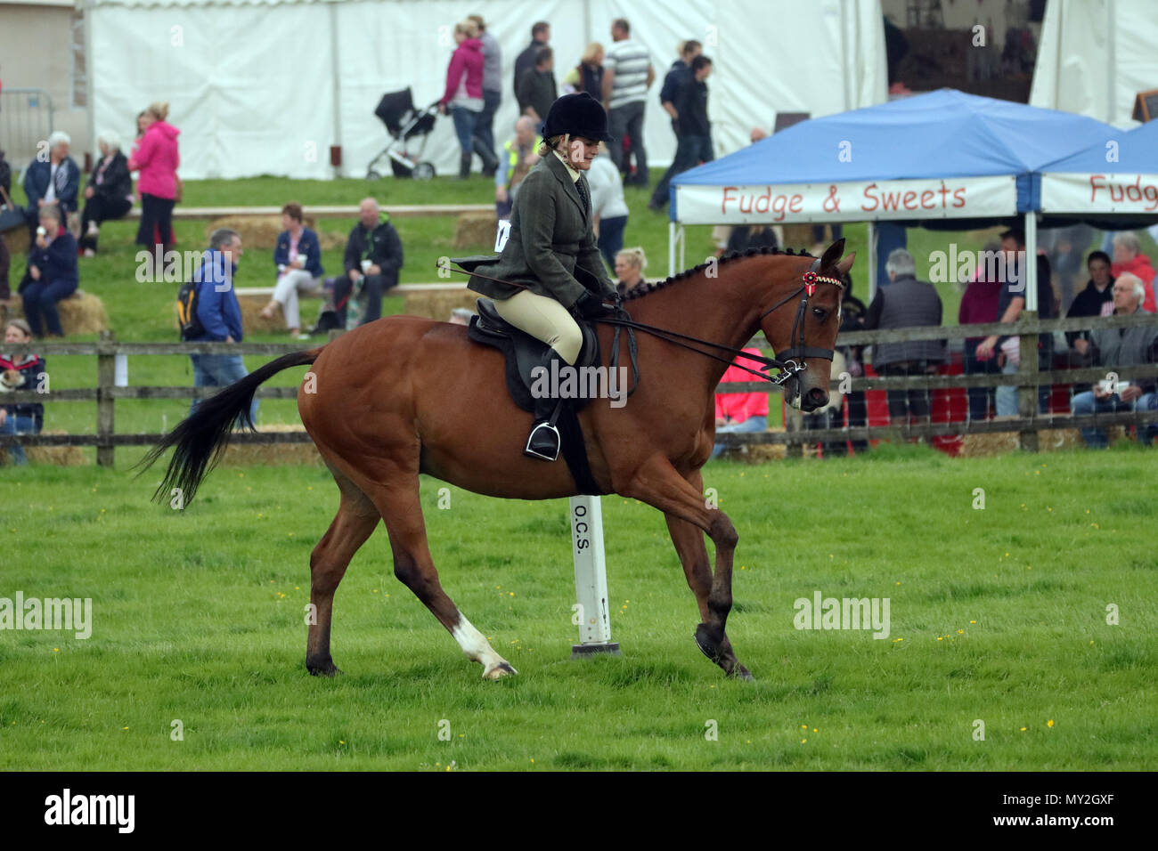Pontargothi Show 2018 Stock Photo - Alamy