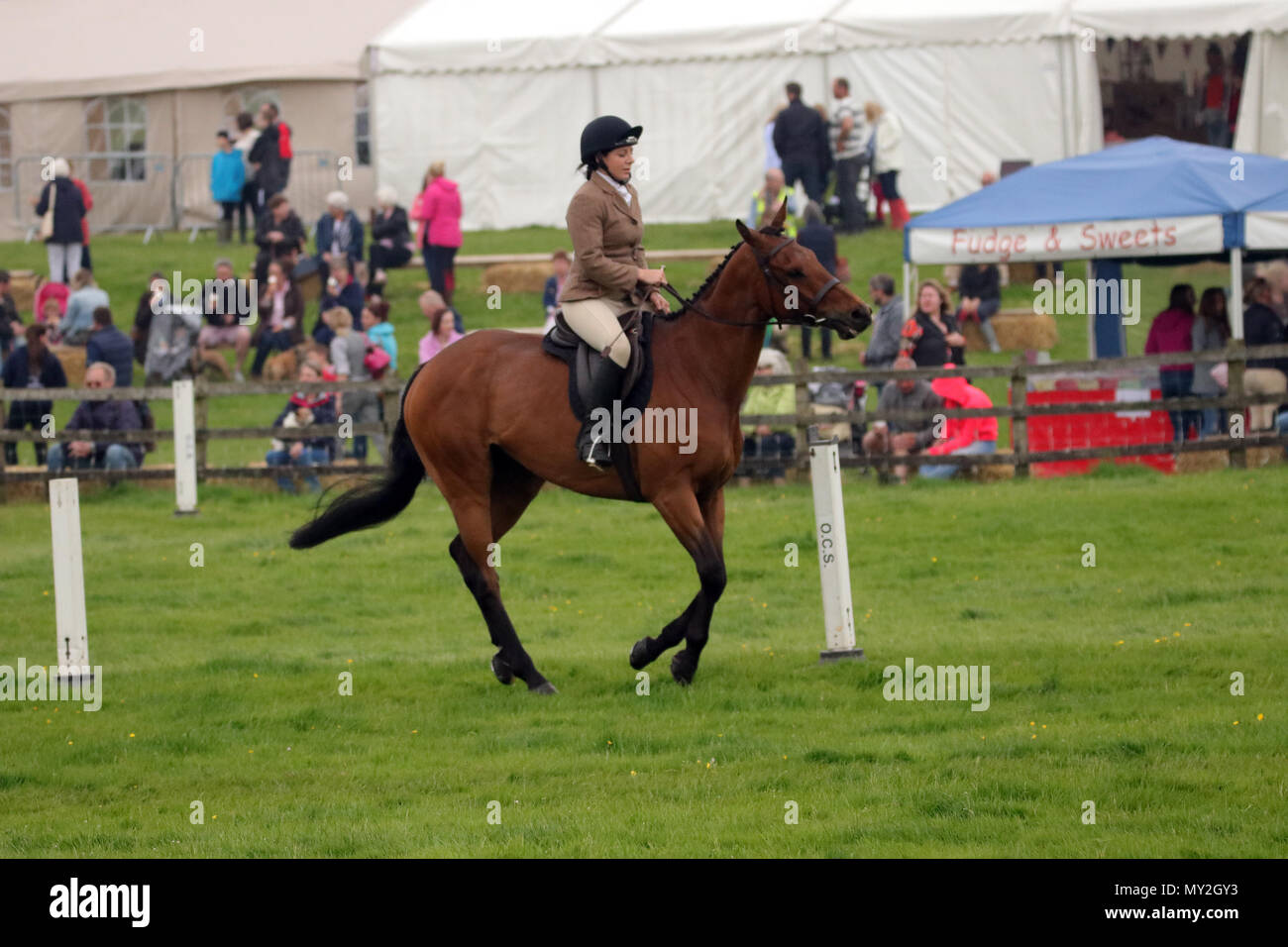 Pontargothi Show 2018 Stock Photo - Alamy