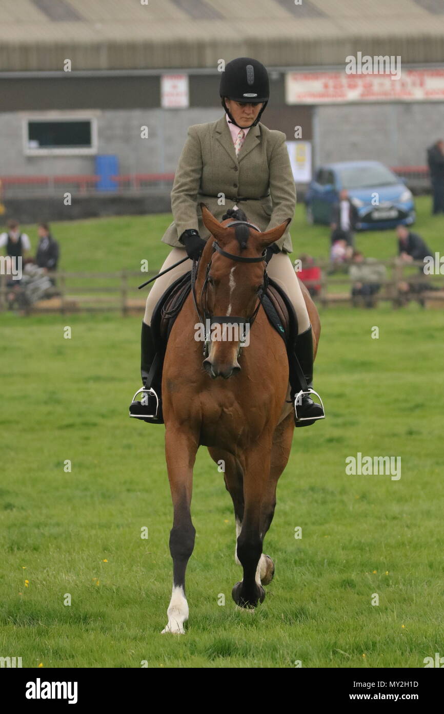 Pontargothi hi-res stock photography and images - Alamy