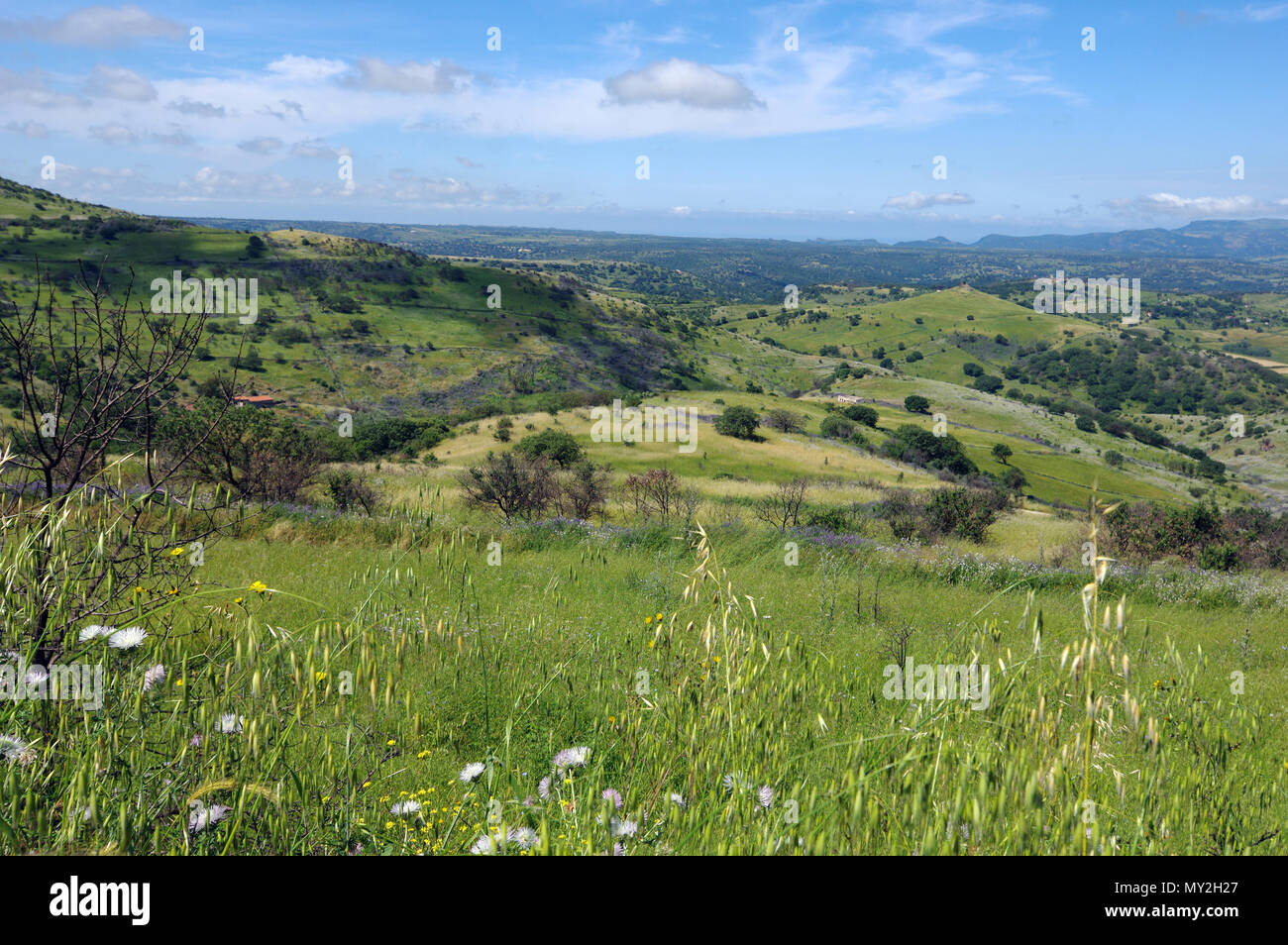 Spring in Sardinia countryside Stock Photo - Alamy