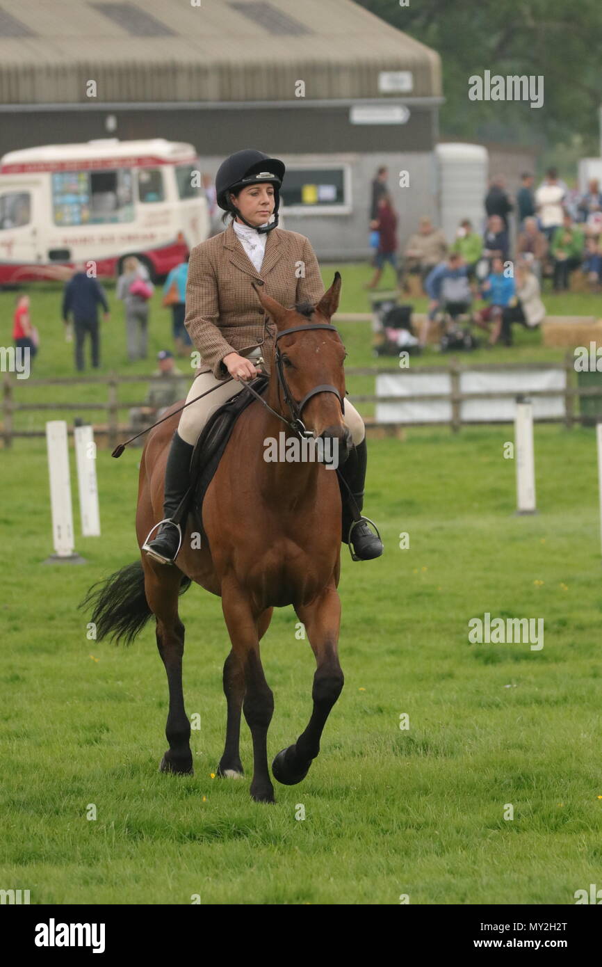 Pontargothi Show 2018 Stock Photo - Alamy