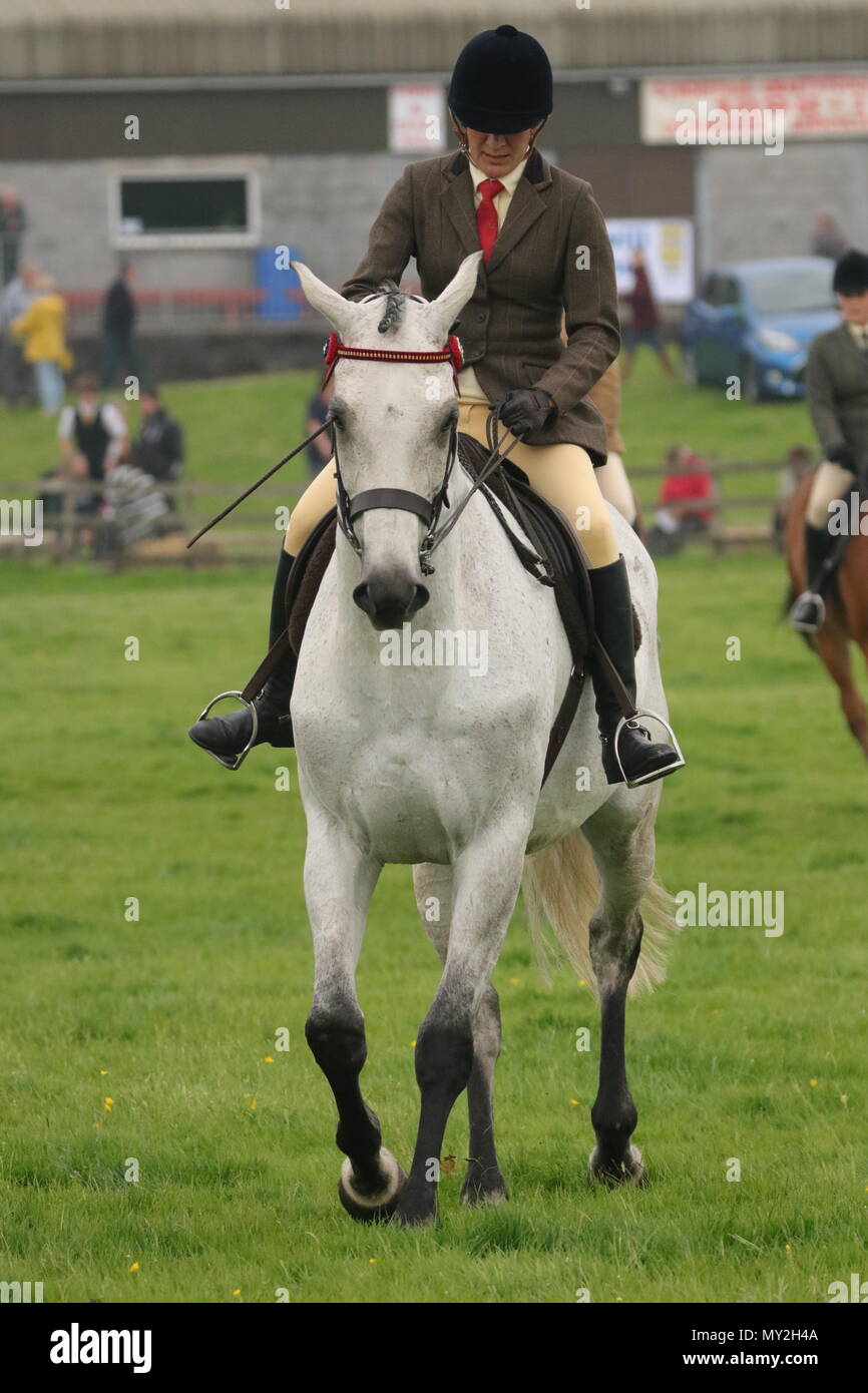 Pontargothi Show 2018 Stock Photo - Alamy