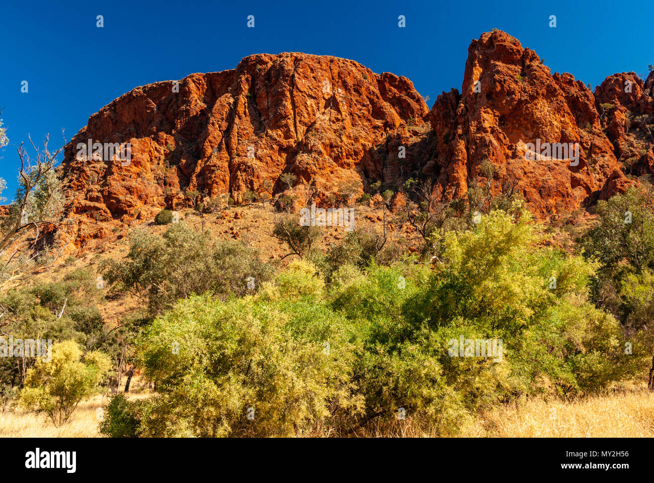 Trephina Gorge Nature Park in East MacDonnell Ranges near Alice Springs ...