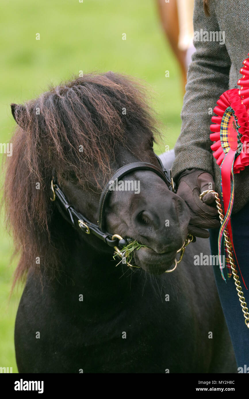 Pontargothi hi-res stock photography and images - Alamy