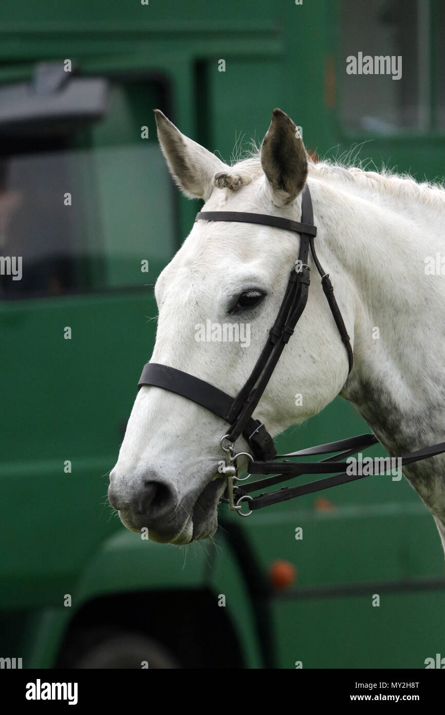 Pontargothi hi-res stock photography and images - Alamy