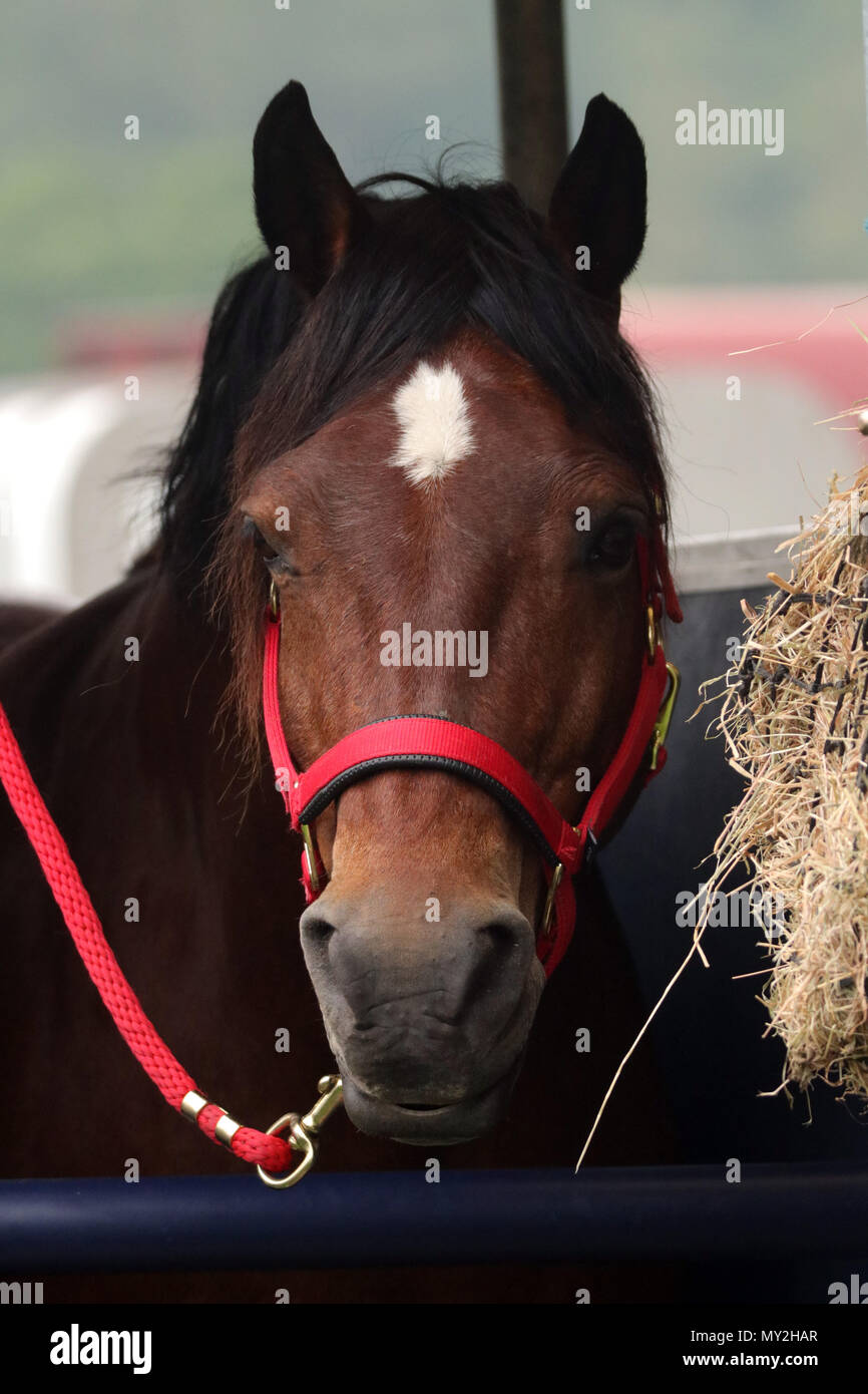 Pontargothi hi-res stock photography and images - Alamy