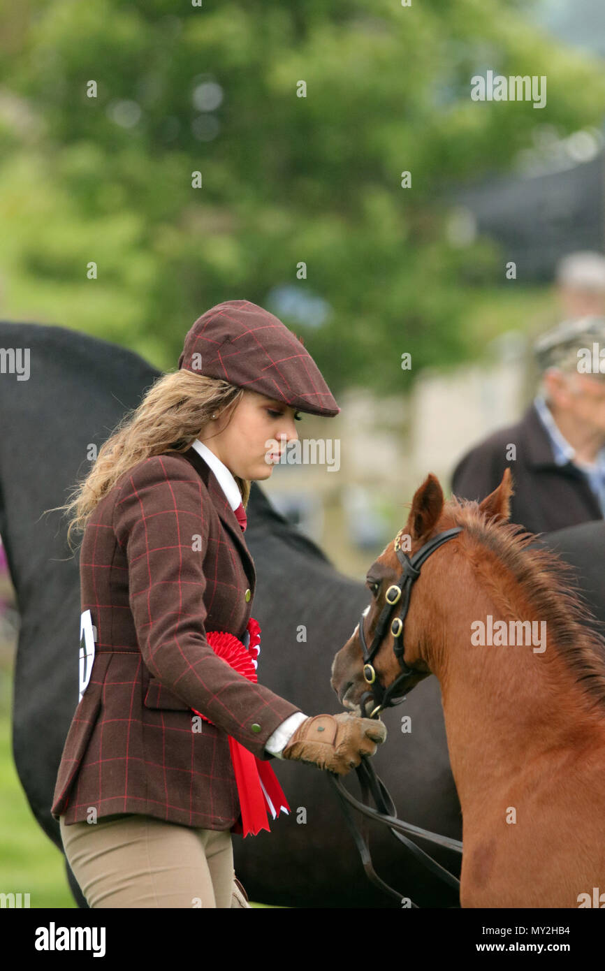 Pontargothi Show 2018 Stock Photo - Alamy