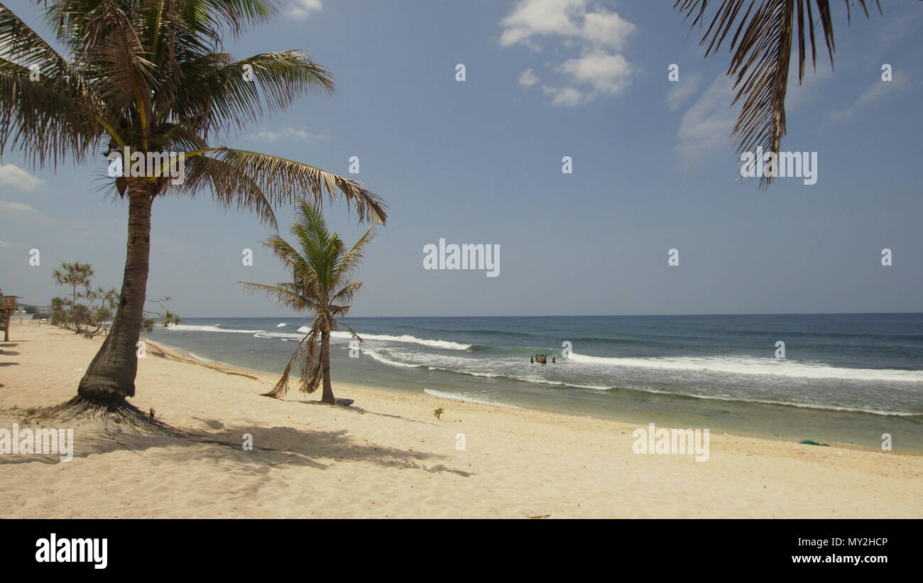 Tropical island with white sandy beach in blue lagoon, palm tree ...