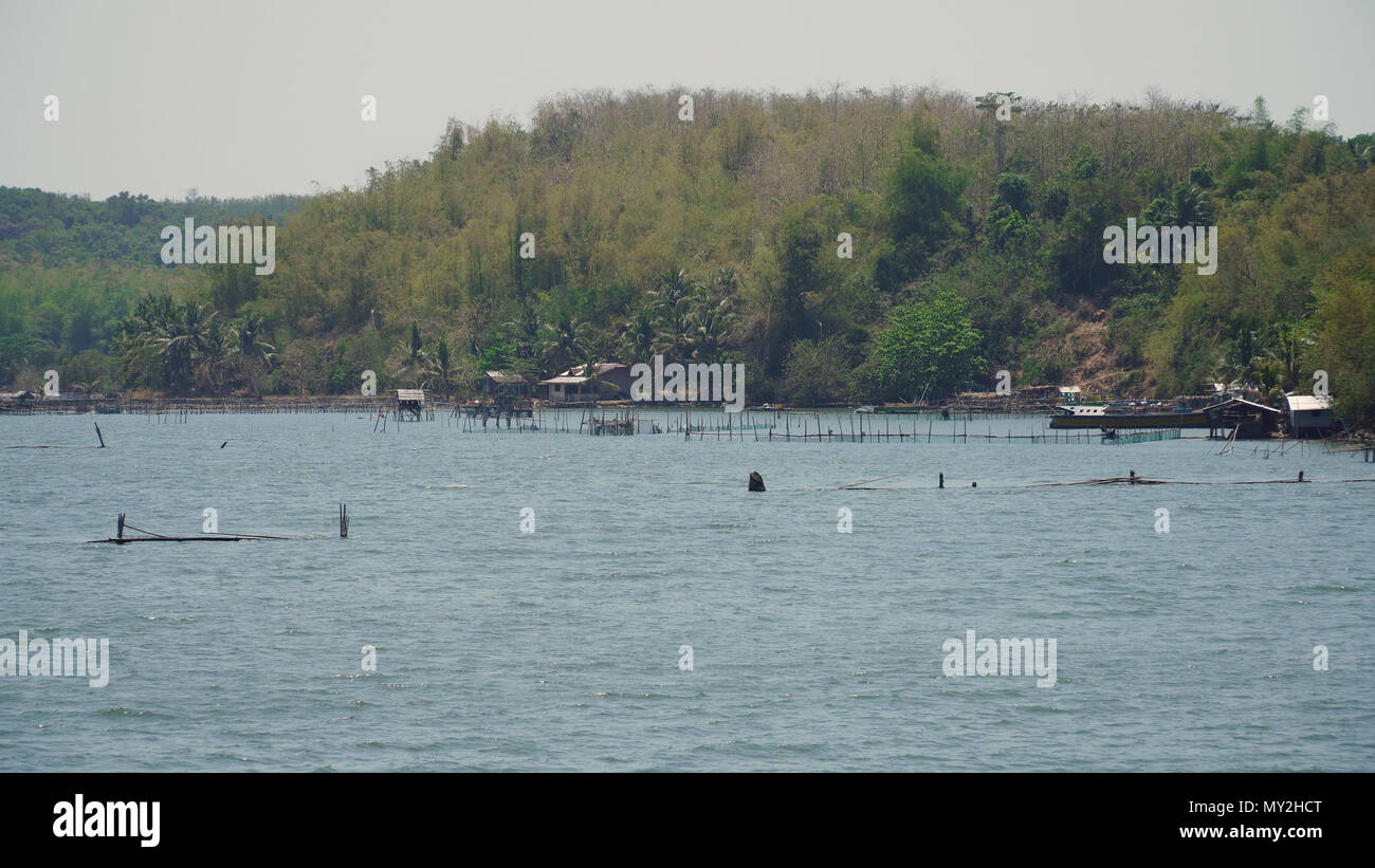 Fish farm with cages for fish and shrimp in the Philippines, Luzon ...