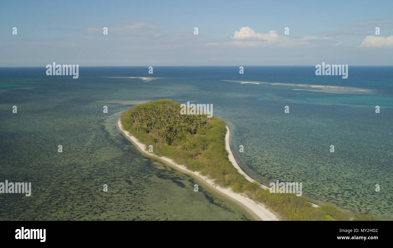 Tropical island with white sandy beach, palm trees. Aerial view of ...