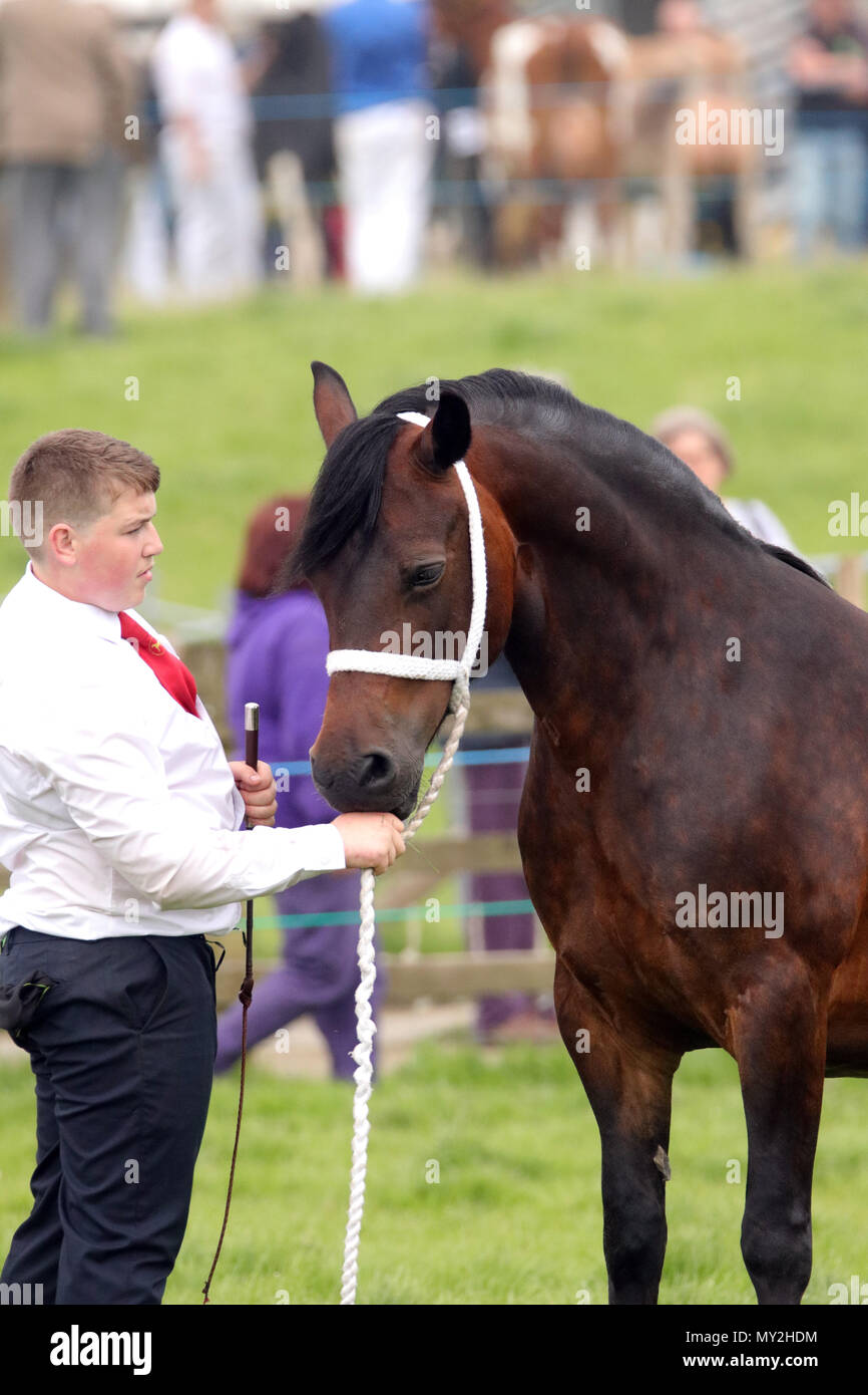 Pontargothi hi-res stock photography and images - Alamy