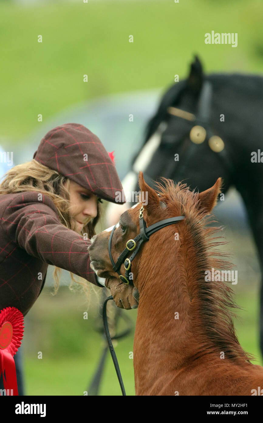 Pontargothi hi-res stock photography and images - Alamy