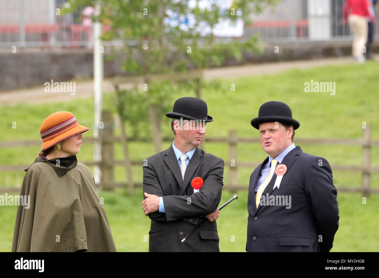 Pontargothi hi-res stock photography and images - Alamy