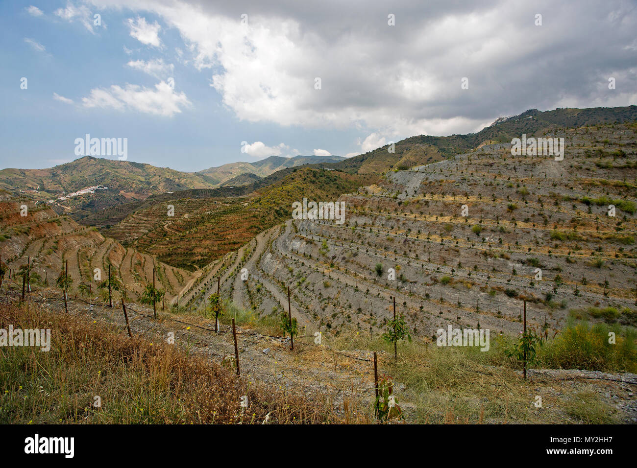 Hillside terracing hi-res stock photography and images - Alamy