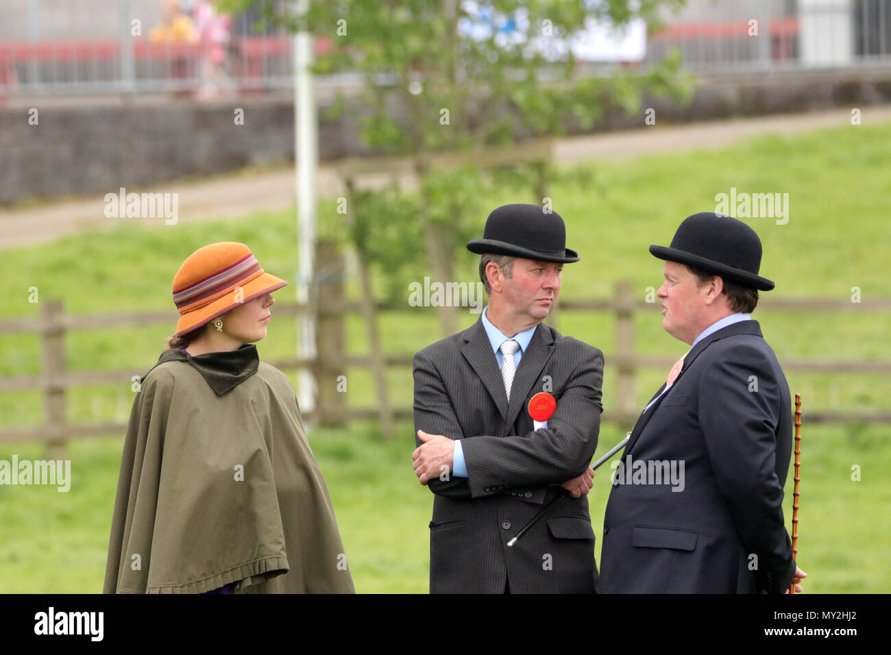 Pontargothi Show 2018 Stock Photo - Alamy
