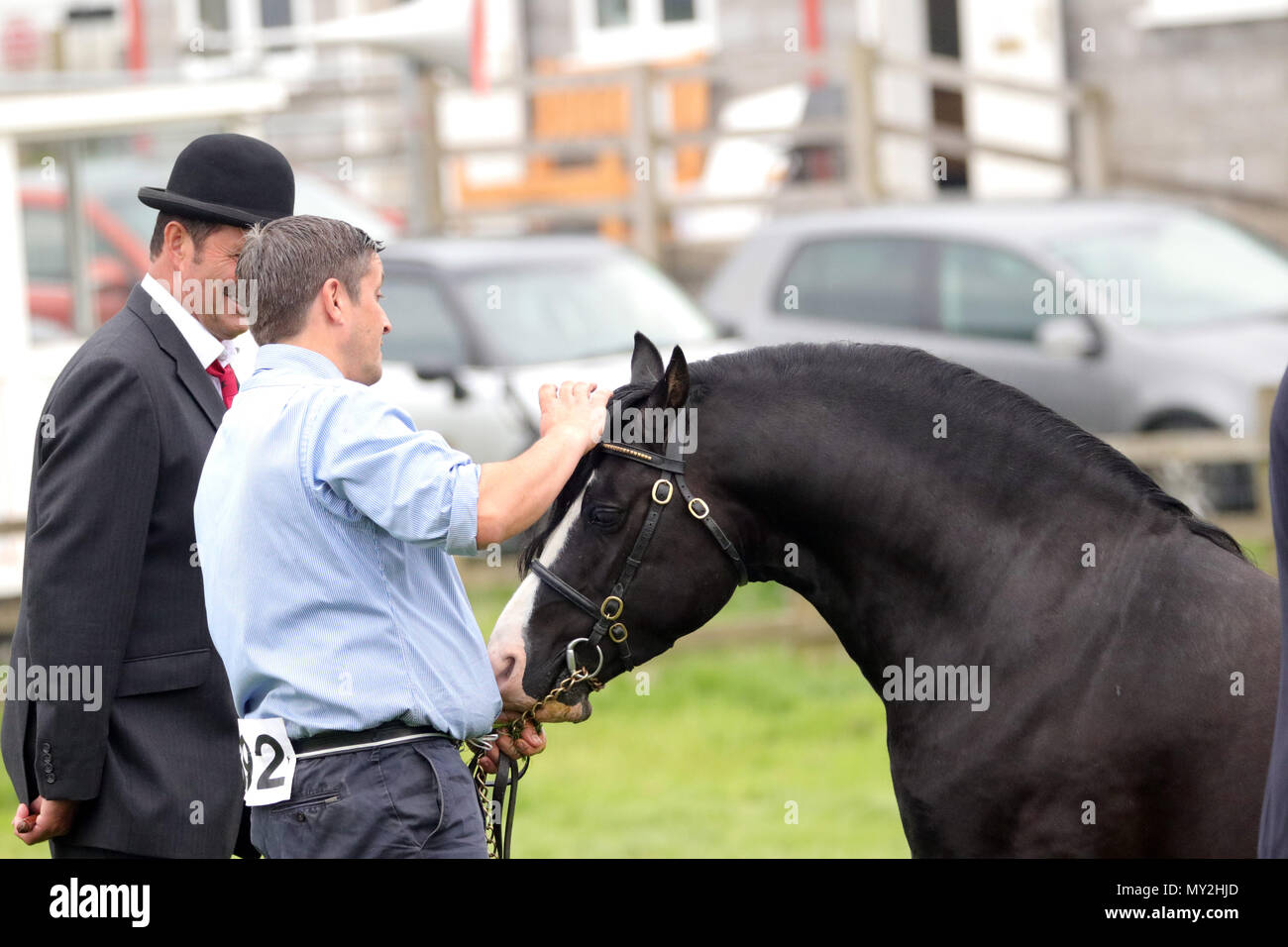 Pontargothi hi-res stock photography and images - Alamy