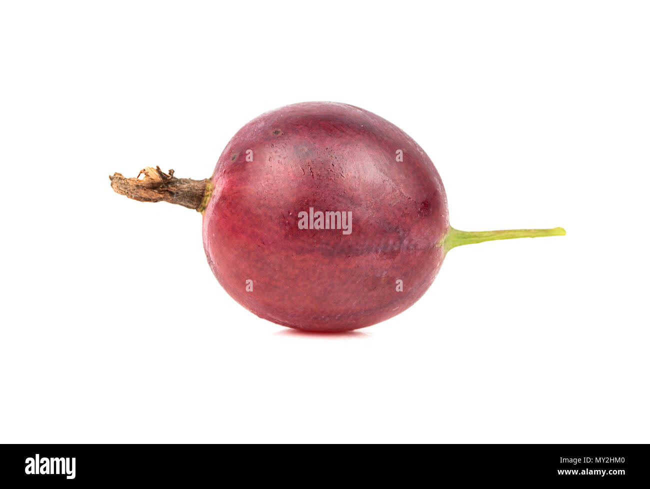 Ripe red gooseberry isolated on white background Stock Photo - Alamy