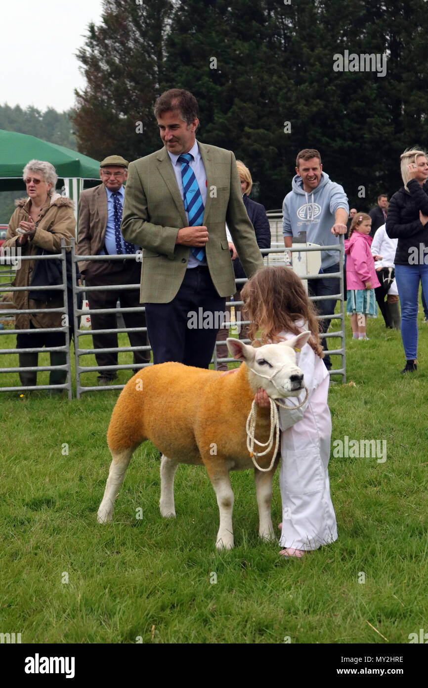 Pontargothi hi-res stock photography and images - Alamy