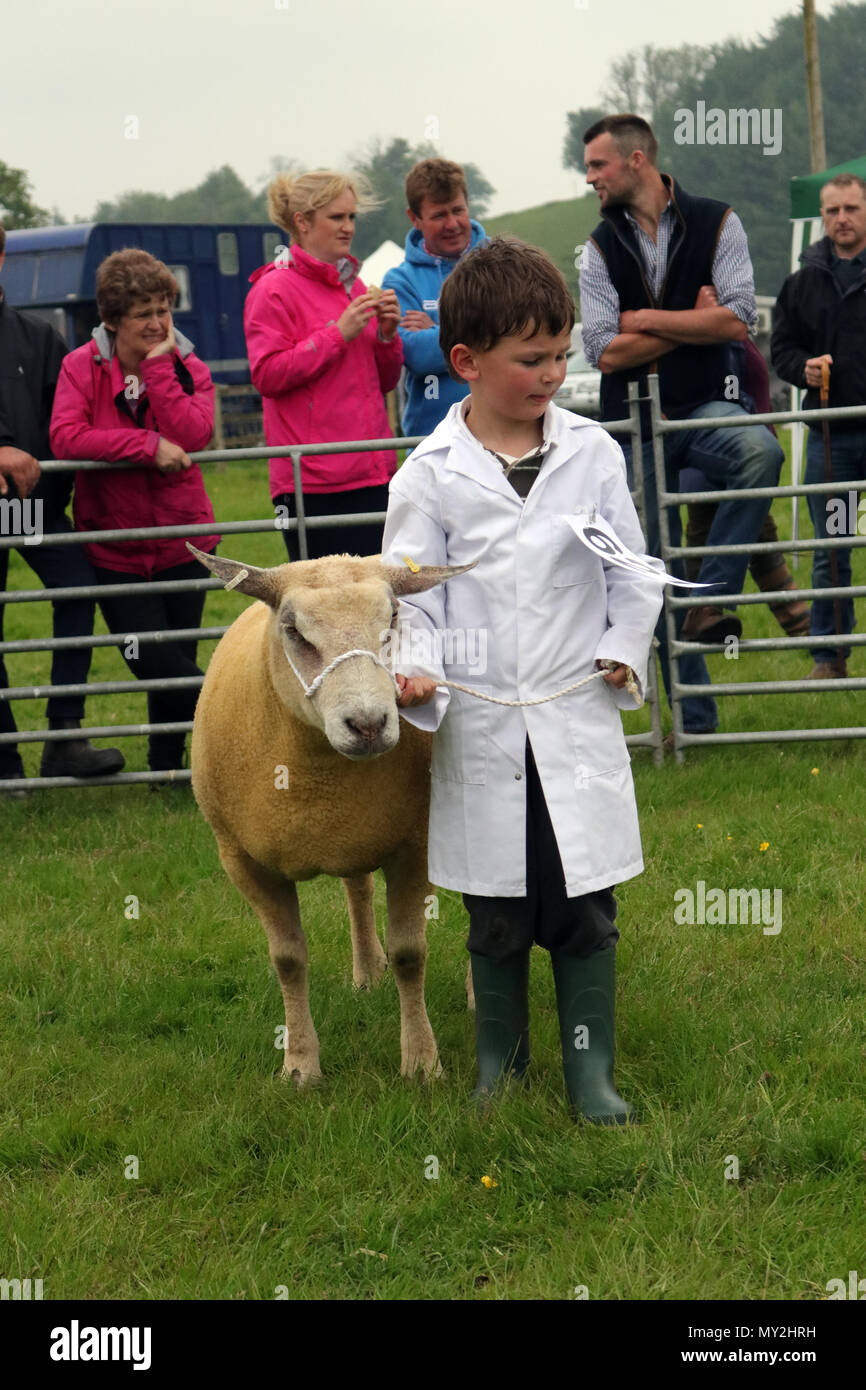 Pontargothi hi-res stock photography and images - Alamy