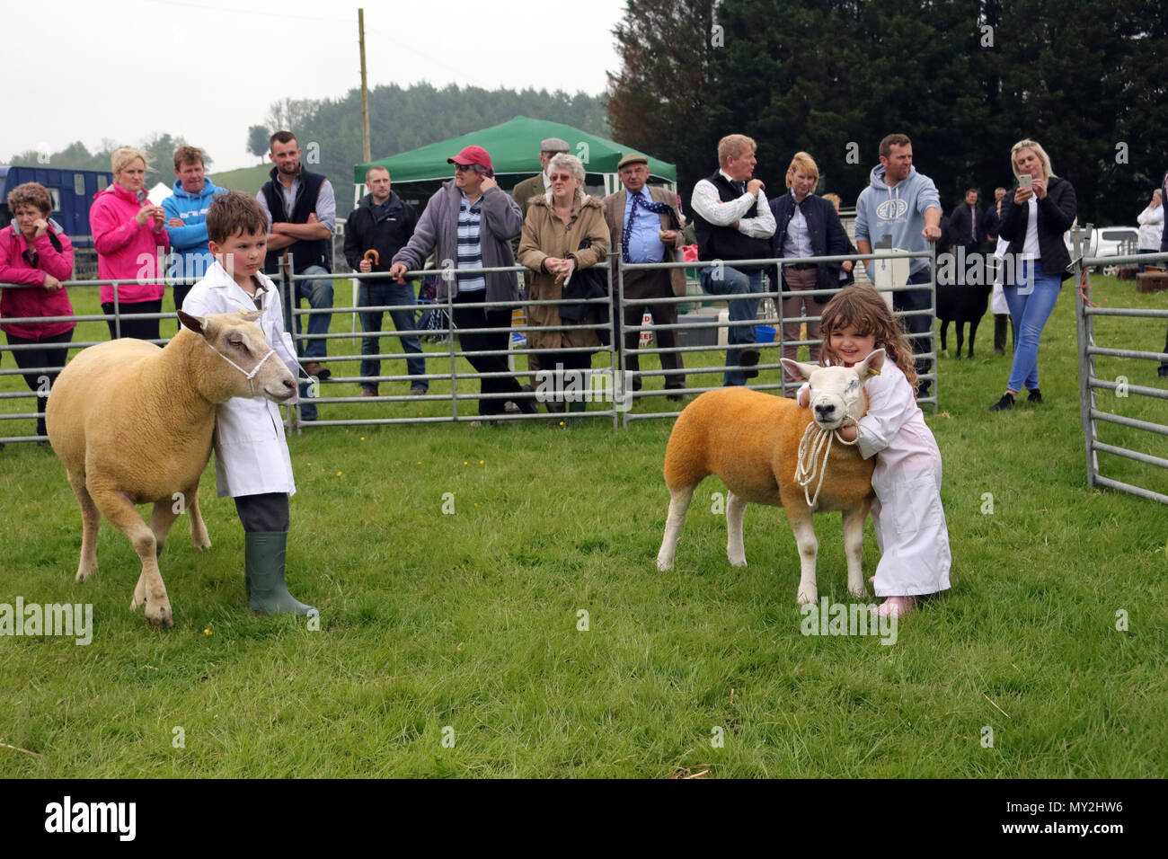 Pontargothi hi-res stock photography and images - Alamy