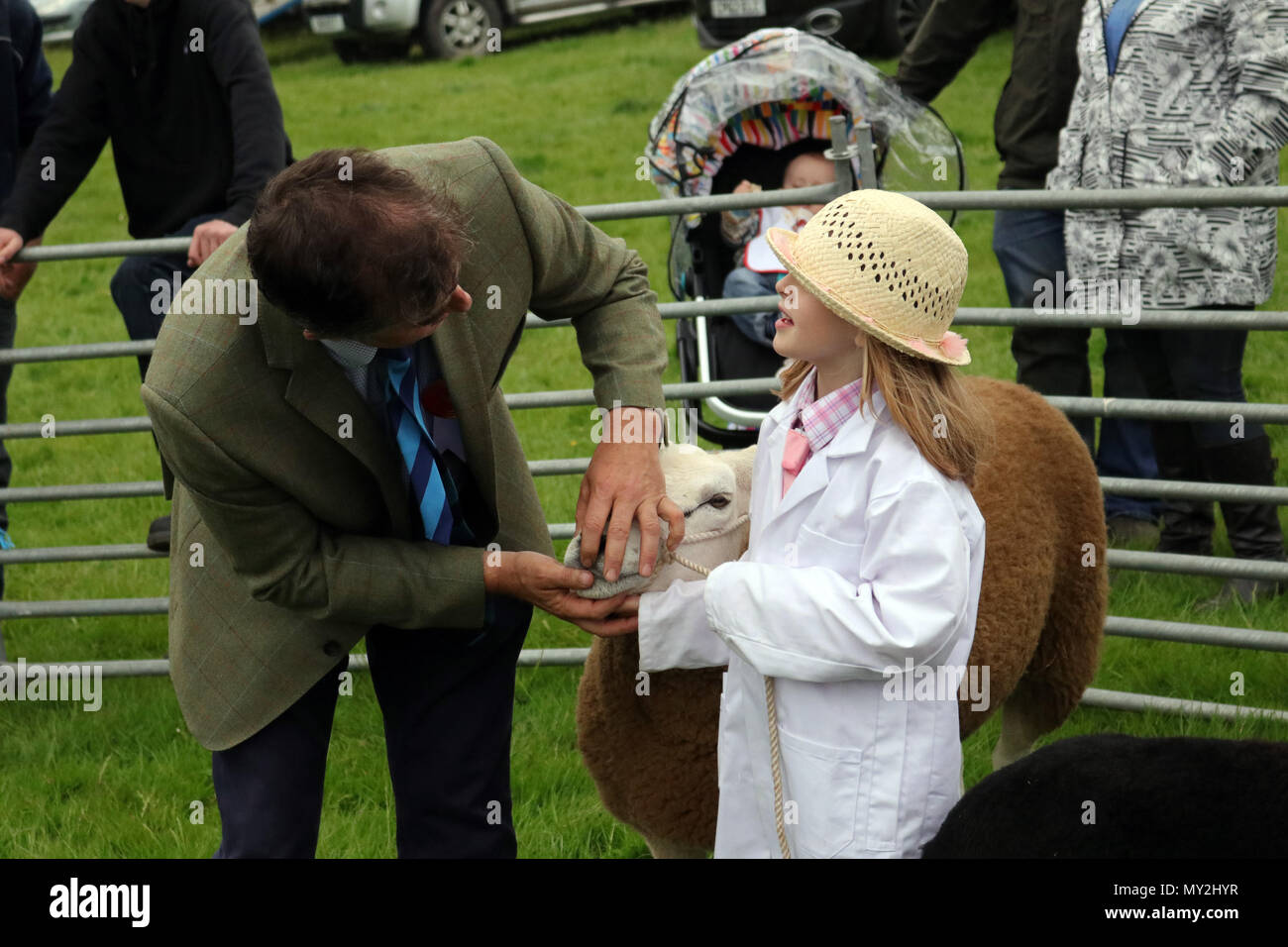 Pontargothi Show 2018 Stock Photo - Alamy