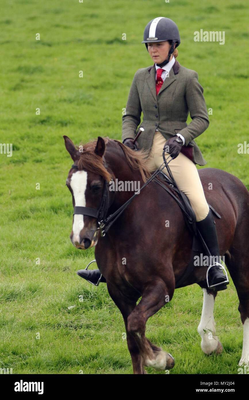 Pontargothi hi-res stock photography and images - Alamy