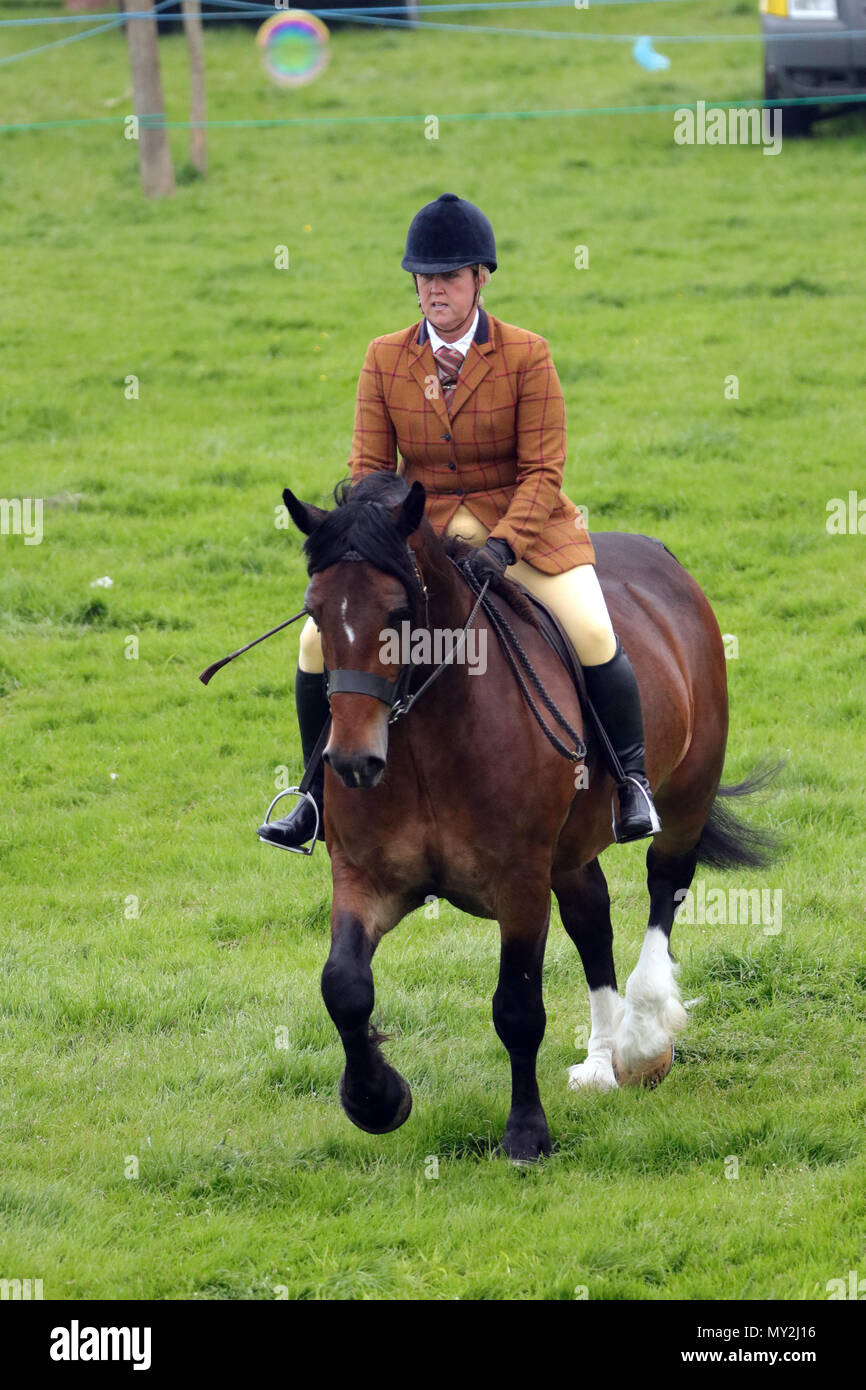 Pontargothi hi-res stock photography and images - Alamy