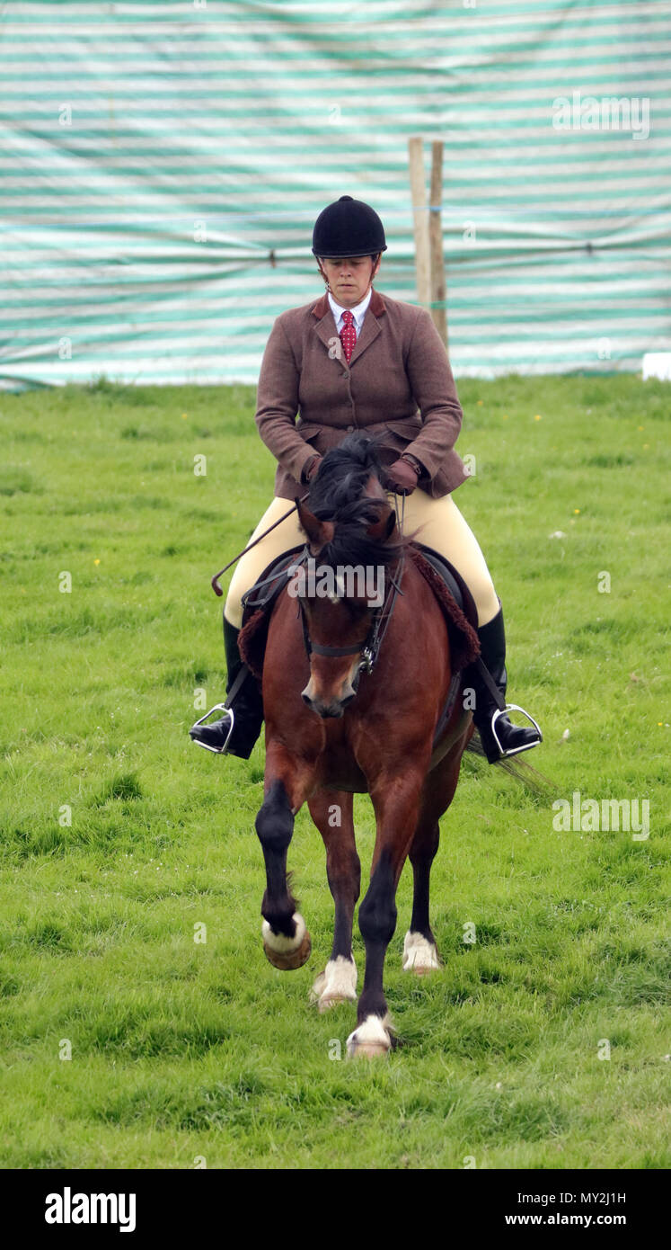 Pontargothi hi-res stock photography and images - Alamy