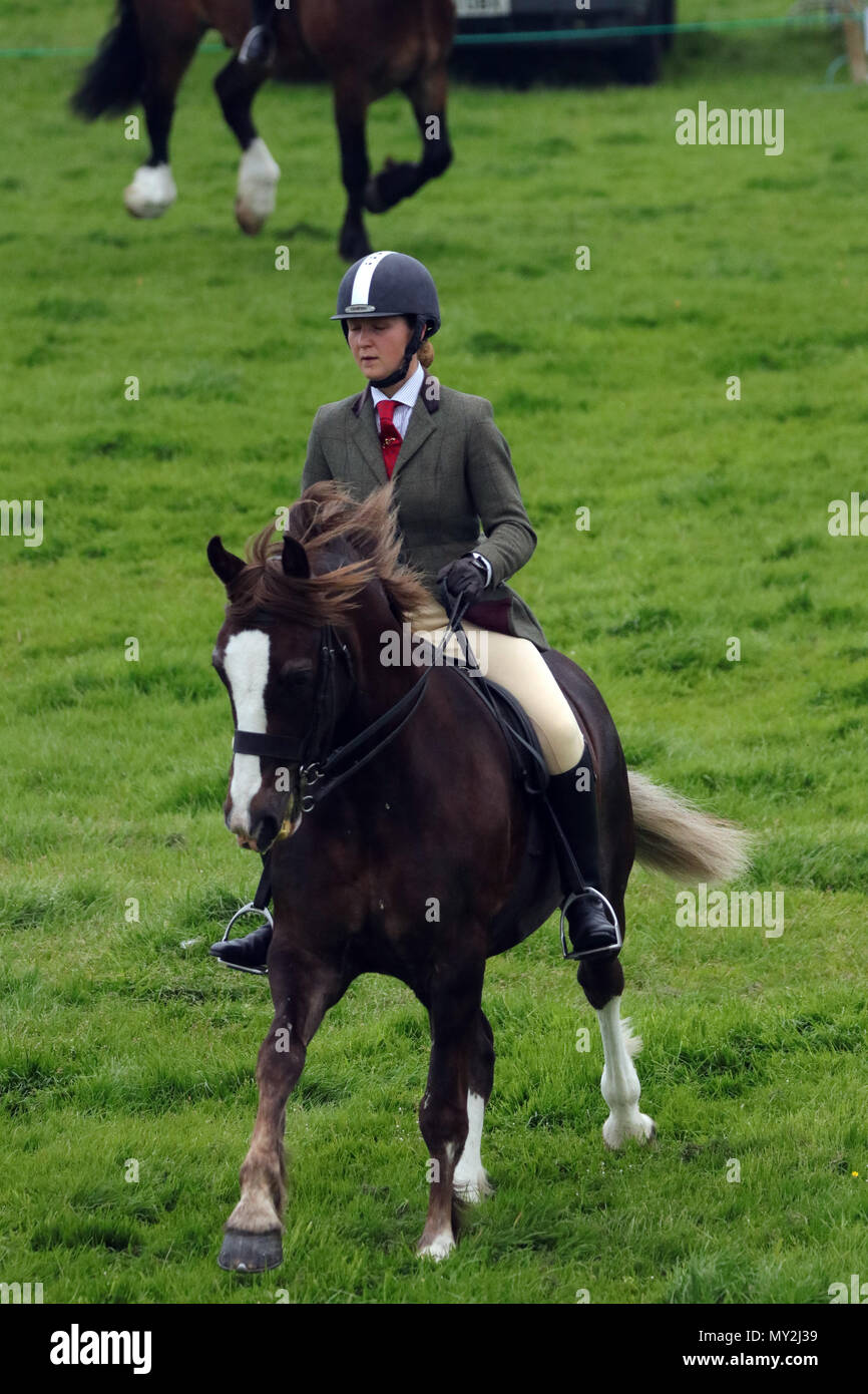 Pontargothi Show 2018 Stock Photo - Alamy
