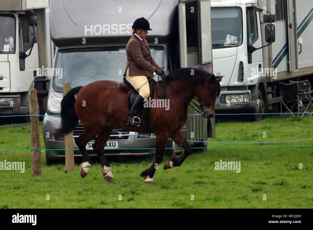 Pontargothi Show 2018 Stock Photo - Alamy