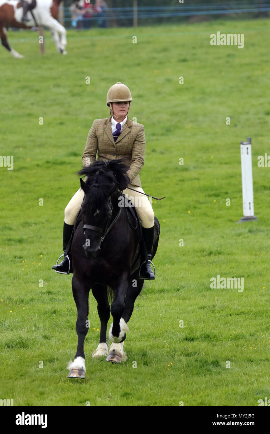 Pontargothi Show 2018 Stock Photo - Alamy