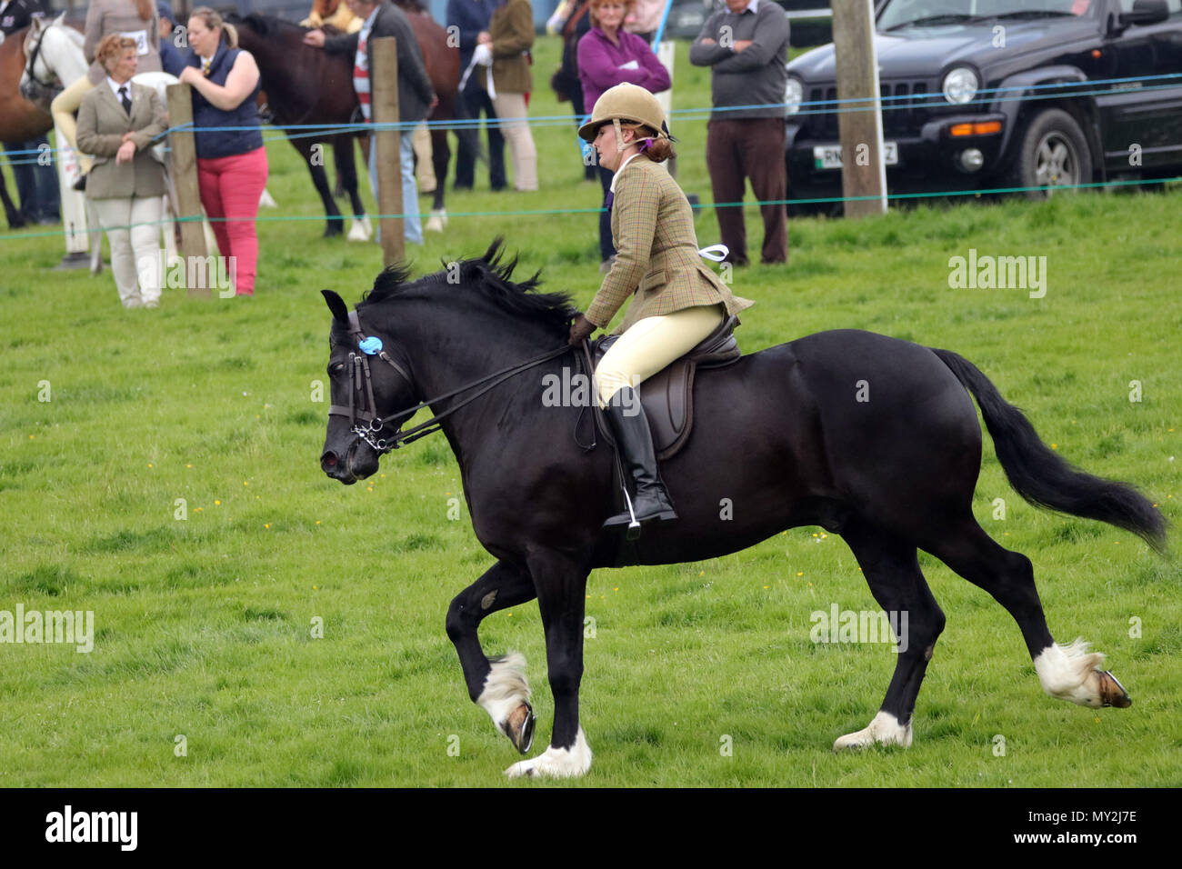 Pontargothi Show 2018 Stock Photo - Alamy