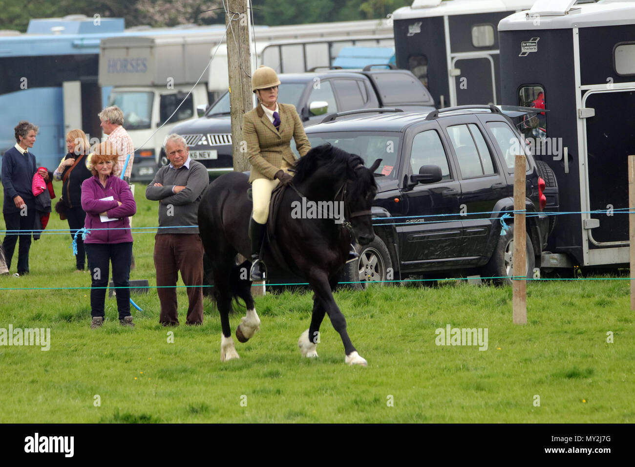 Pontargothi Show 2018 Stock Photo - Alamy