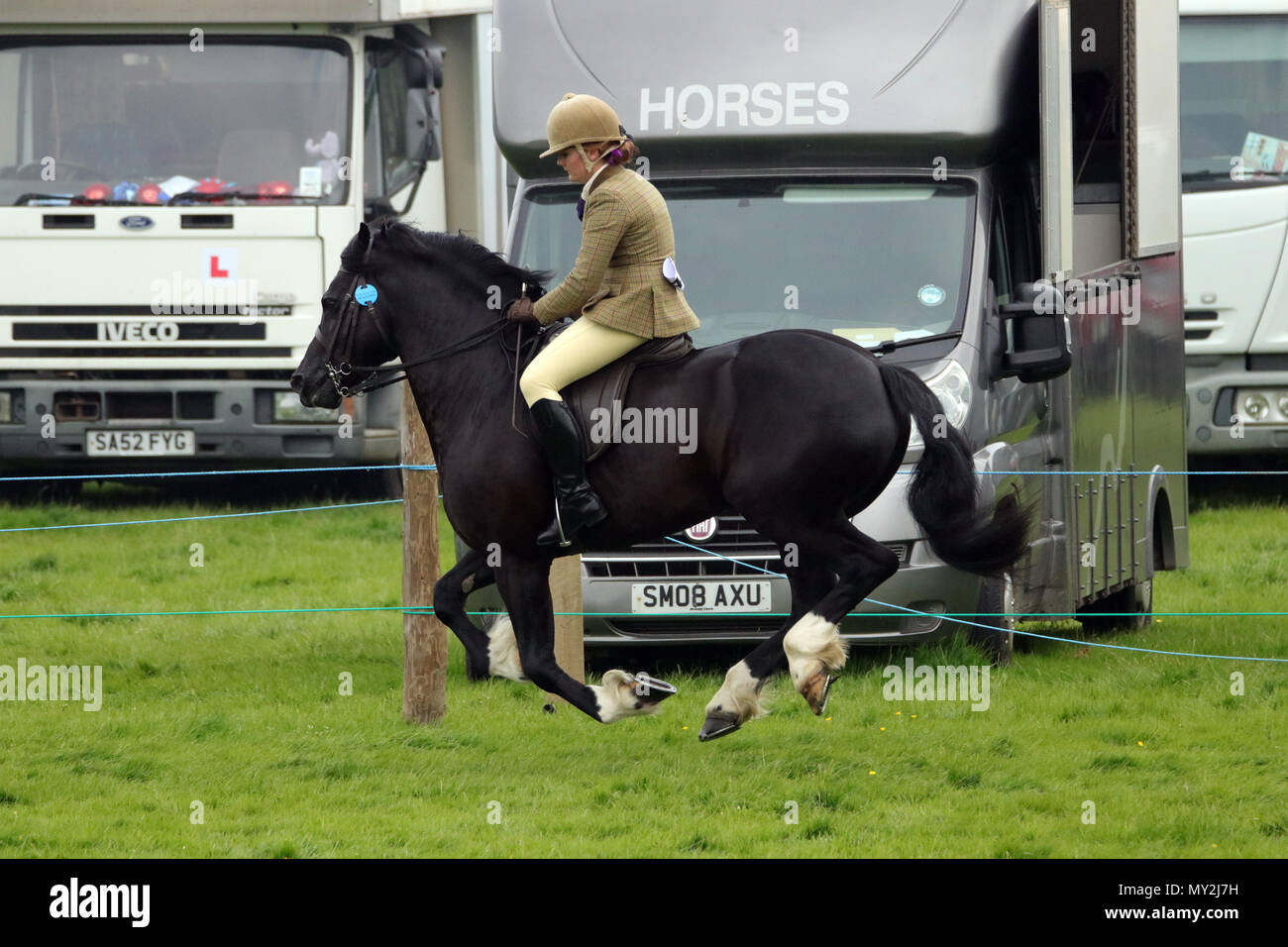 Pontargothi hi-res stock photography and images - Alamy