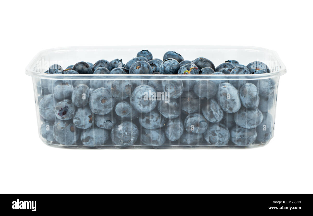 Blueberry in container hi-res stock photography and images - Alamy