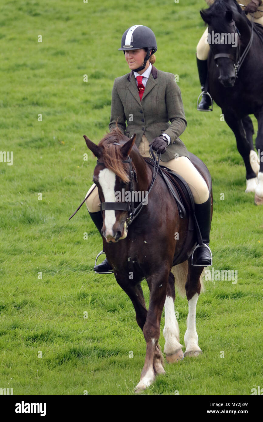 Pontargothi hi-res stock photography and images - Alamy