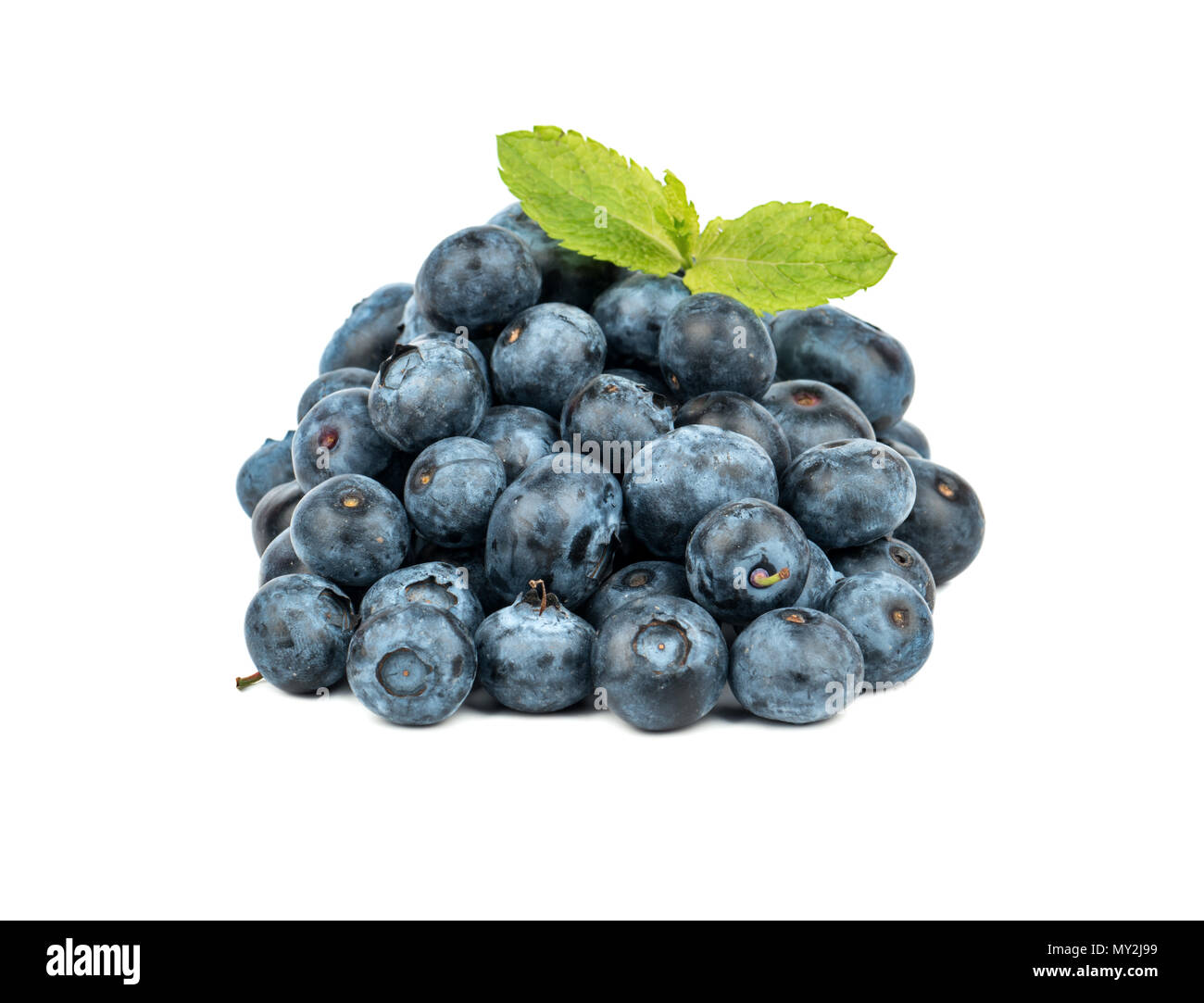 Pile of ripe blueberries with mint leaves on a white background Stock ...