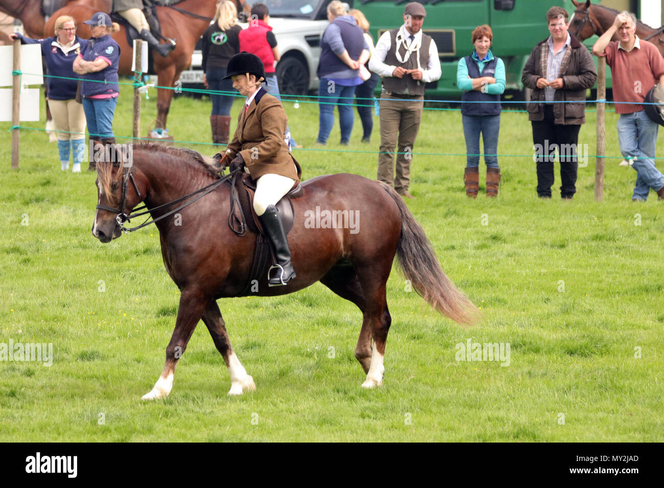 Pontargothi hi-res stock photography and images - Alamy