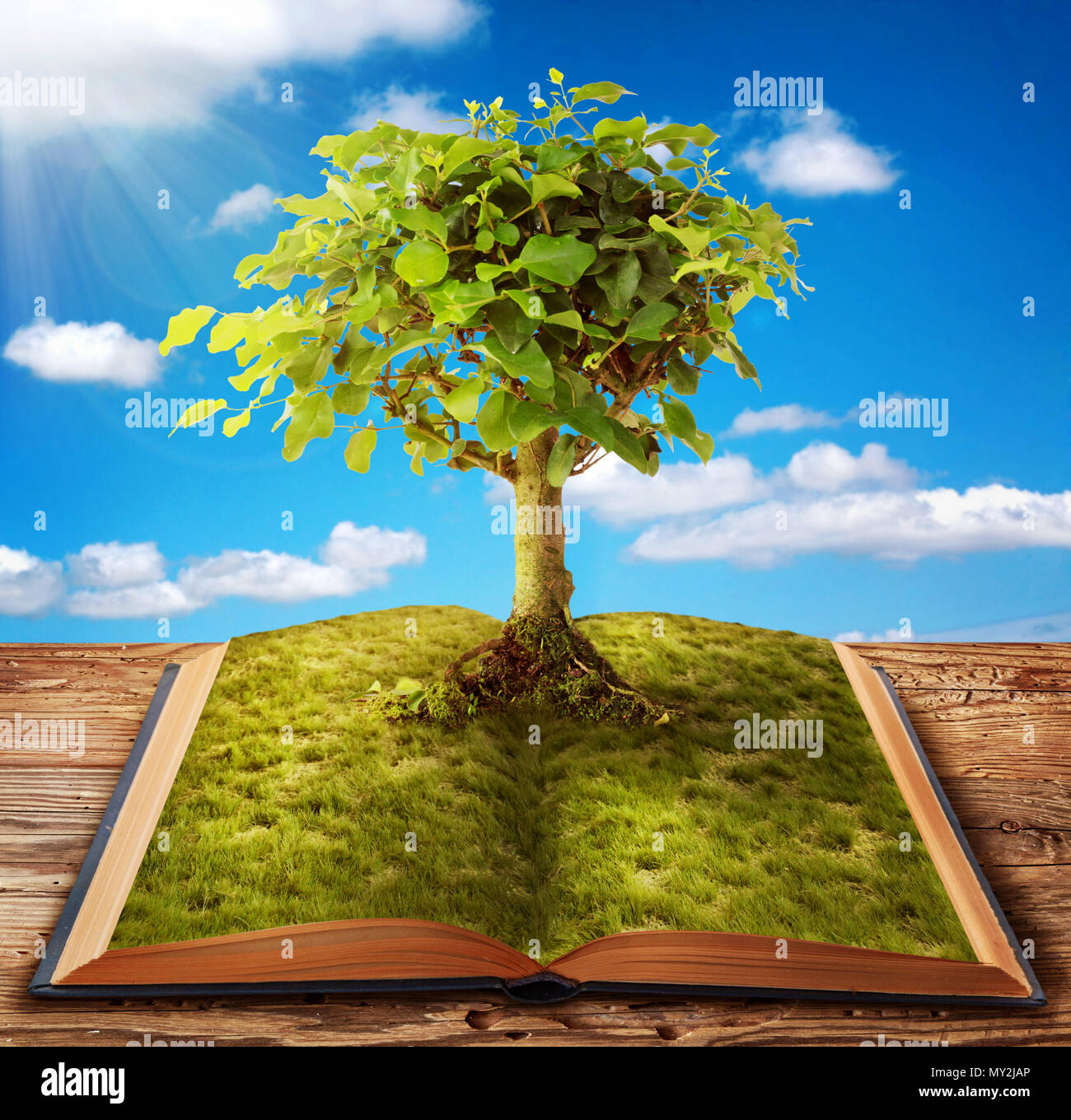 Nature education hi-res stock photography and images - Alamy